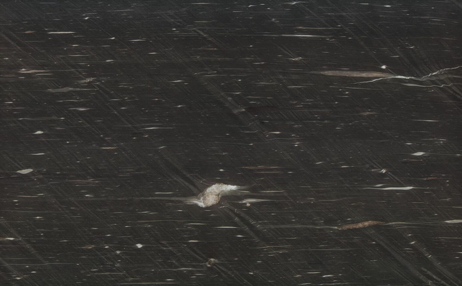 Cygnus Black Granite Countertops | Granite Granite Inc